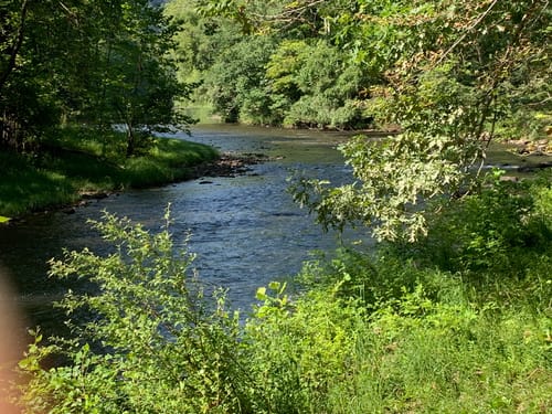 2023 Best Moderate Trails in Bluestone State Park | AllTrails