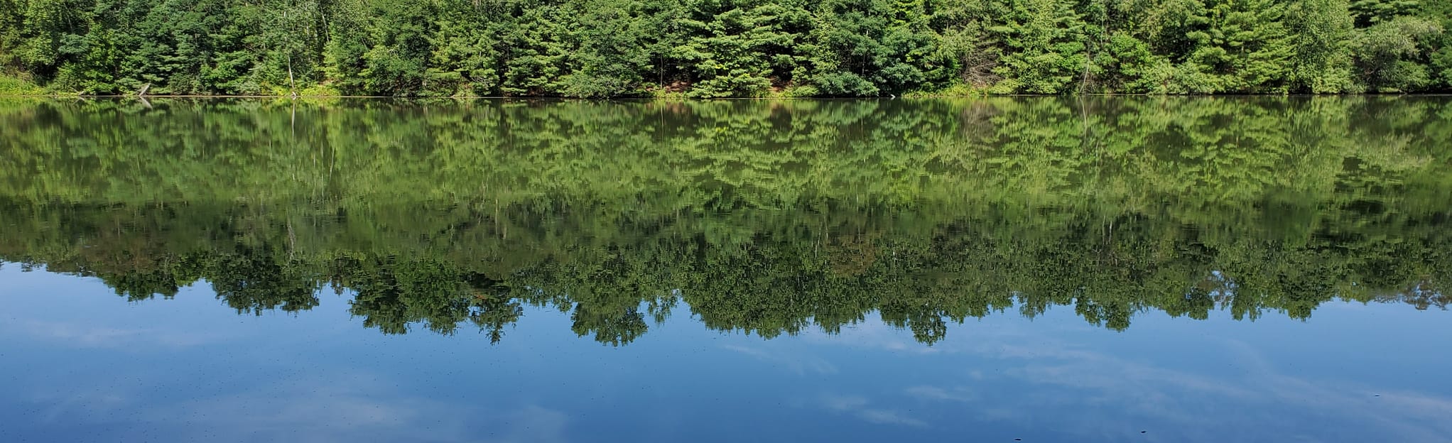 Two Rivers Yellow, Red and Green Trail: 276 Reviews, Map - New York ...