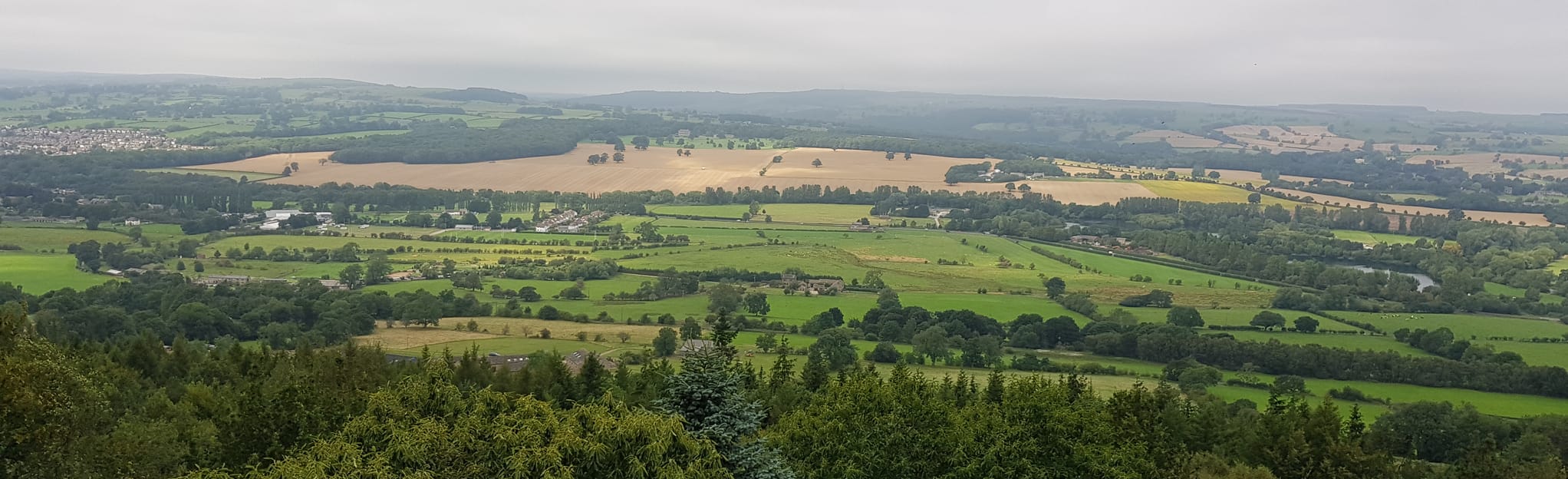 Chevin Forest and York Gate Plantation Loops: 18 Reviews, Map - West ...