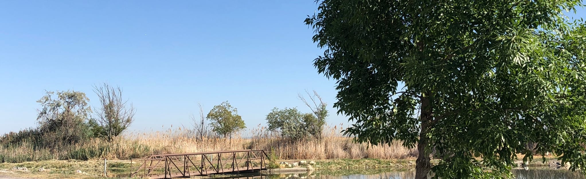 Bountiful Lake Loop, Utah - 171 Reviews, Map | AllTrails