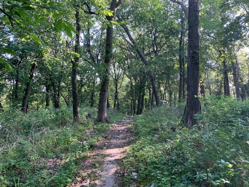 Best Hikes and Trails in Whiterock Conservancy | AllTrails