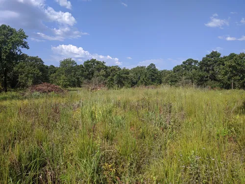 Best Hikes and Trails in Tyler State Park | AllTrails