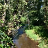 North Creek Trail: University of WA Bothell to Thrasher's Corner ...