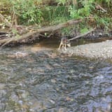 North Creek Trail: University of WA Bothell to Thrasher's Corner ...