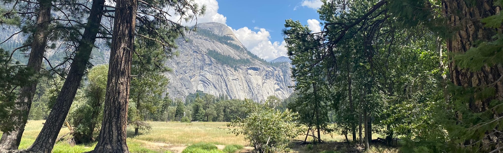 Middle Valley Loop Trail: 795 Reviews, Map - California | AllTrails