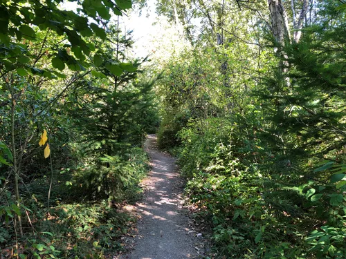 2023 Best 10 Trail Running Trails in Seattle | AllTrails