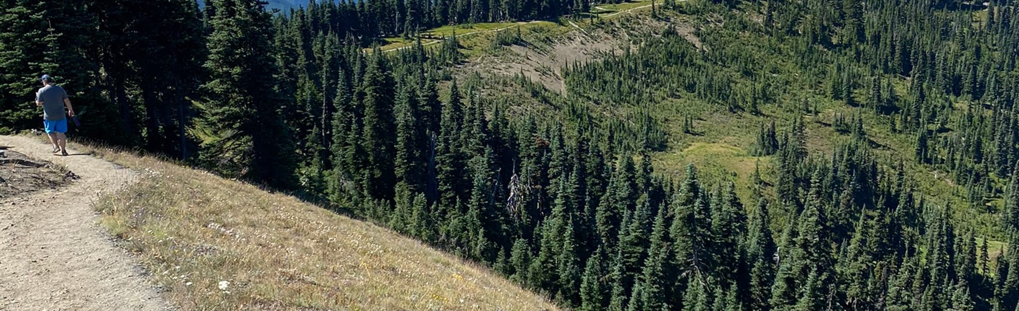 Sunrise View Point via High Ridge Nature Trail [CLOSED]: 596 Reviews ...