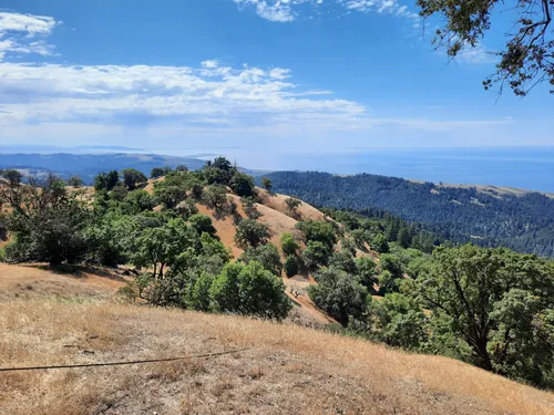 Best Hikes and Trails in Jenner Headlands Preserve | AllTrails