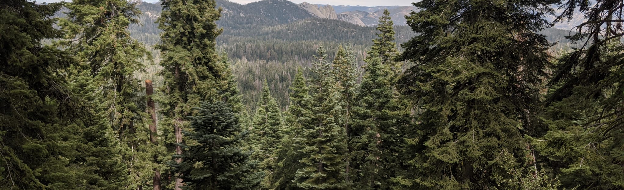 Slate Mountain Trail, California - 57 Reviews, Map | AllTrails