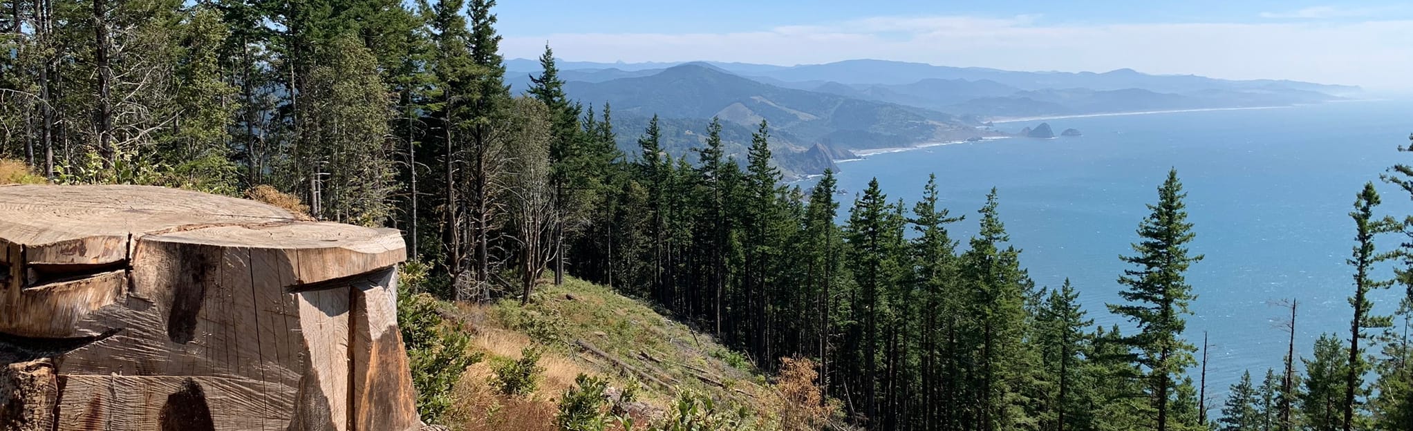 Humbug Mountain Loop Trail, Oregon - 840 Reviews, Map | AllTrails