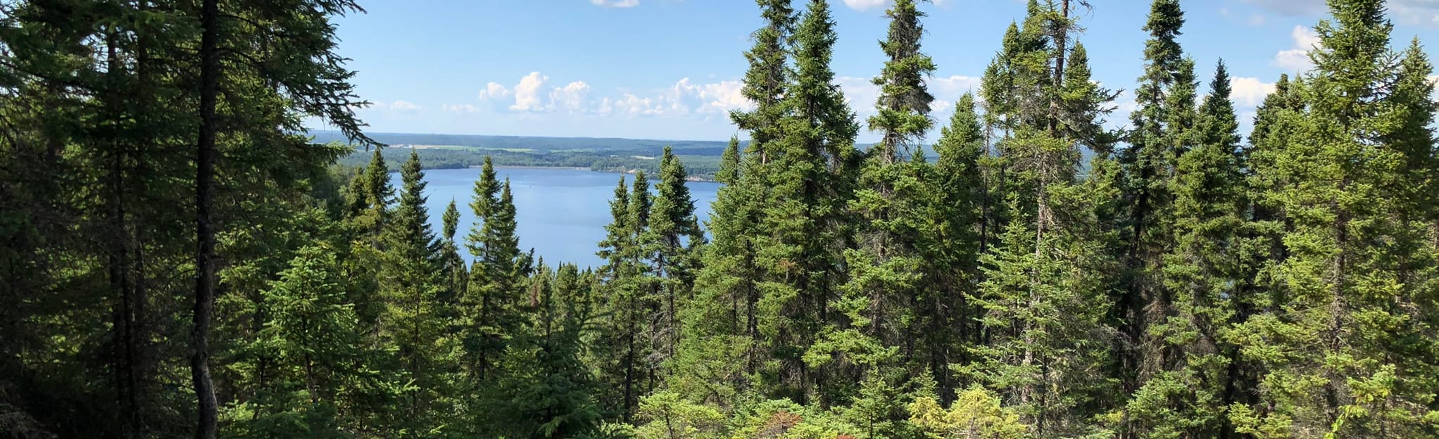 Kénogami Lake Trail: 17 Reviews, Map - Quebec, Canada | AllTrails