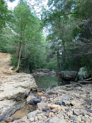 10 Best Off Road Driving Trails in Tennessee | AllTrails