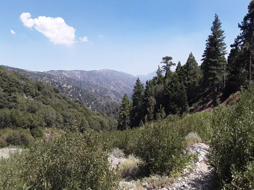 2023 Best 10 Long Trails in Azusa | AllTrails