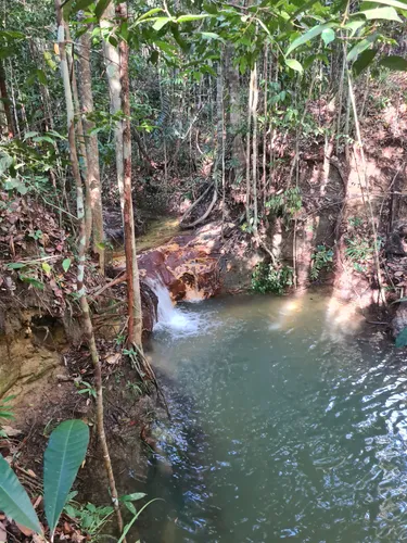 2023 Best 10 Waterfall Trails in Brunei and Muara | AllTrails
