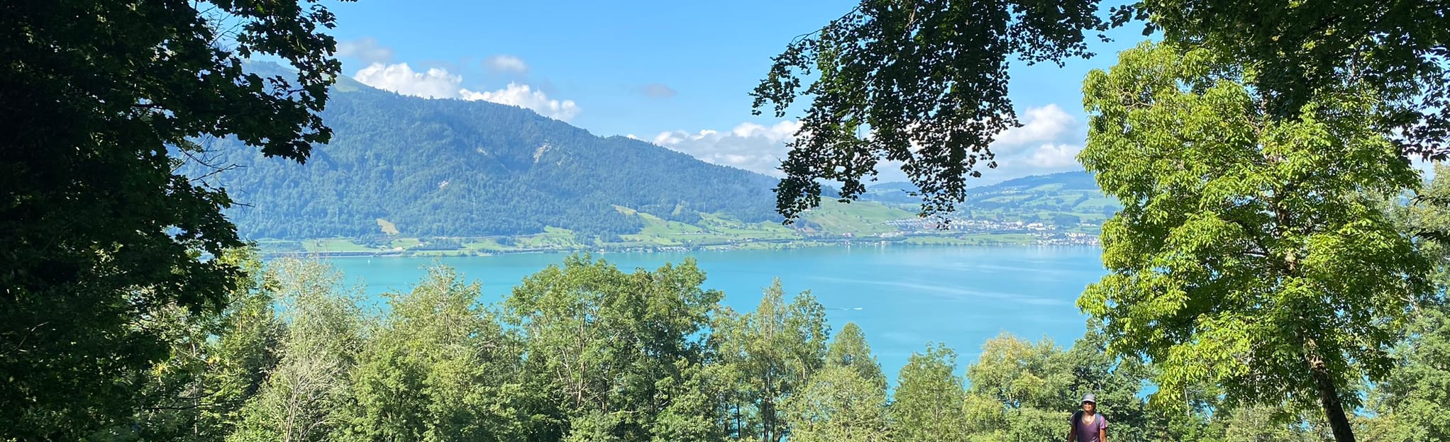 Walchwil Circular: 25 Reviews, Map - Zug, Switzerland | AllTrails