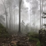 Mount Entoto Loop, Ethiopia - 2 Reviews, Map | AllTrails