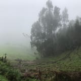 Mount Entoto Loop, Ethiopia - 2 Reviews, Map | AllTrails