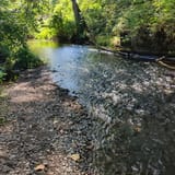 North Creek Trail: University of WA Bothell to Thrasher's Corner ...