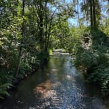 North Creek Trail: University of WA Bothell to Thrasher's Corner ...