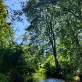 North Creek Trail: University of WA Bothell to Thrasher's Corner ...