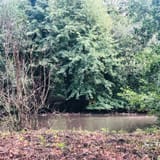 Kempley to Dymock Circular, Gloucestershire, England - 18 Reviews, Map ...