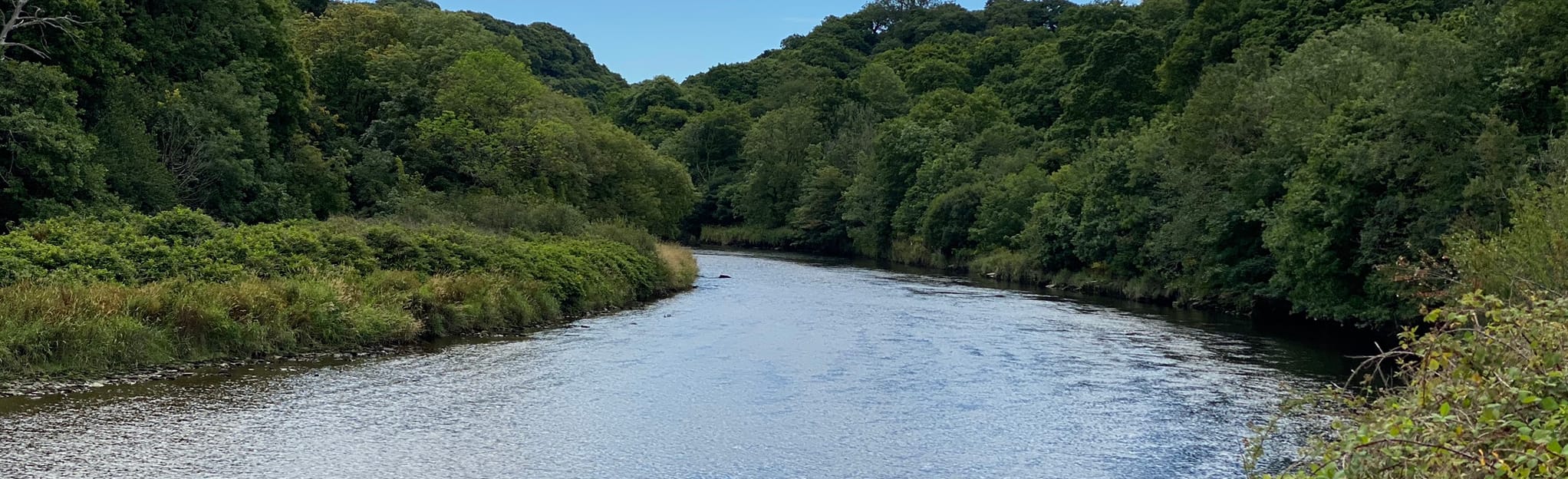 Afon Teifi and Cilgerran: 23 Reviews, Map - Ceredigion, Wales | AllTrails