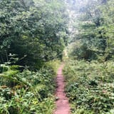 Kempley to Dymock Circular, Gloucestershire, England - 17 Reviews, Map ...