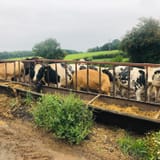 Kempley to Dymock Circular, Gloucestershire, England - 17 Reviews, Map ...