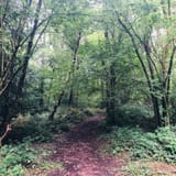 Kempley to Dymock Circular, Gloucestershire, England - 17 Reviews, Map ...