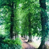 Kempley to Dymock Circular, Gloucestershire, England - 19 Reviews, Map ...