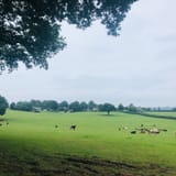 Kempley to Dymock Circular, Gloucestershire, England - 19 Reviews, Map ...