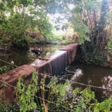 Kempley to Dymock Circular, Gloucestershire, England - 18 Reviews, Map ...