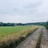 Kempley to Dymock Circular, Gloucestershire, England - 19 Reviews, Map ...