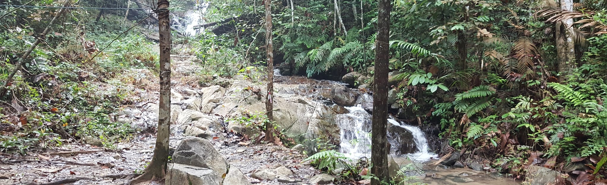 Gua Kelawar - Gunung Pulai Recreational Forest, Johor, Malaysia - 8 ...