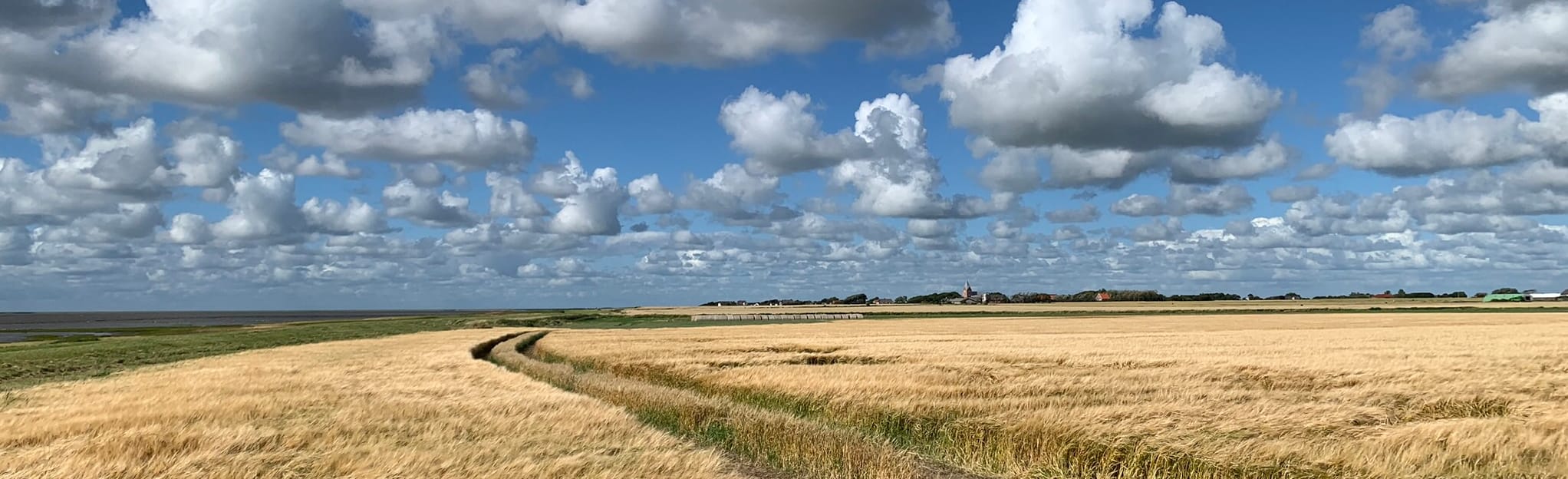 Badsbøl Strand - Ballum : 17 Photos - Danemark-du-Sud, Danemark ...