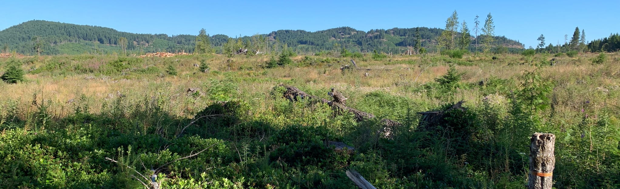 Three Lakes Loop, British Columbia, Canada - 5 Reviews, Map | AllTrails
