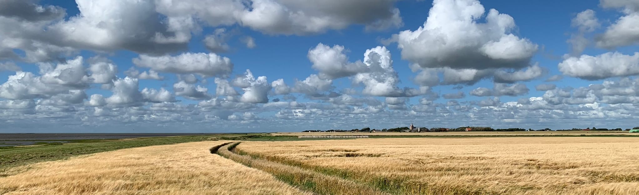 Husum-Ballum - Grüne Route: 24 Fotos - Region Syddanmark, Dänemark ...