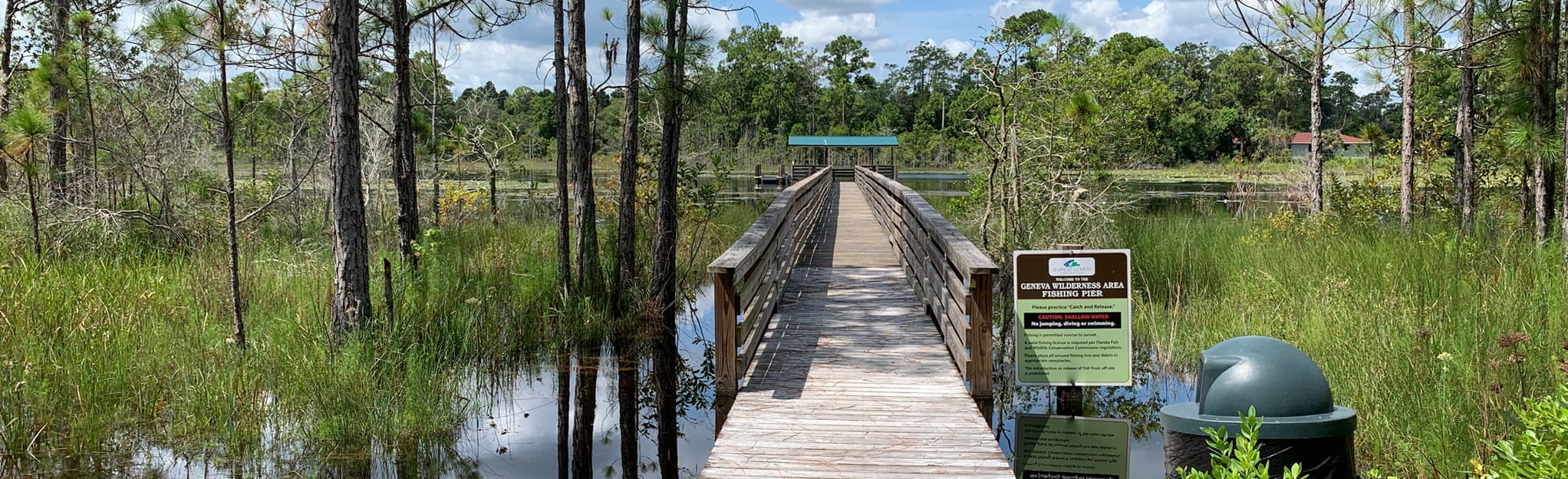 Geneva Wilderness Loop: 51 Reviews, Map - Florida | AllTrails
