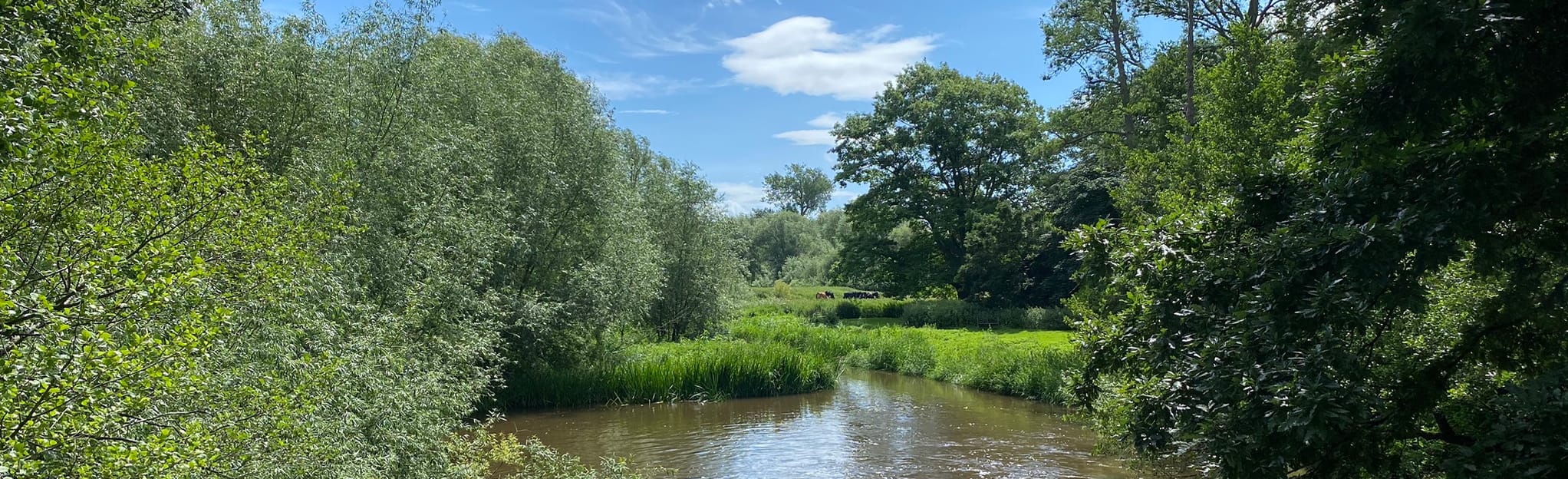 Attingham Park and Deer Park Circular, Shropshire, England - 79 Reviews ...