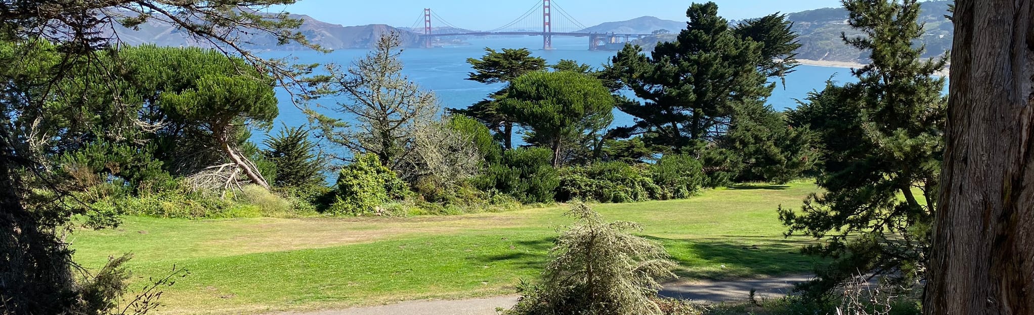 Lands End Trail, California - 7,807 Reviews, Map | AllTrails