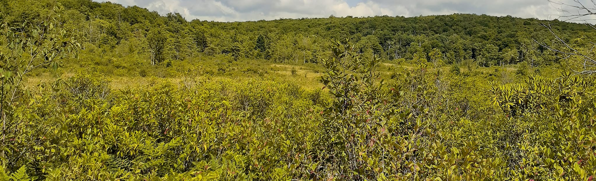 Hoodoo Rocks, Moon Rocks, Trails Road Loop | Map, Guide - West Virginia ...