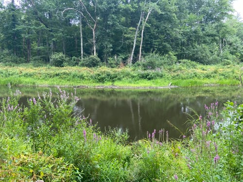 2023 Best 10 Trails and Hikes in Exeter | AllTrails