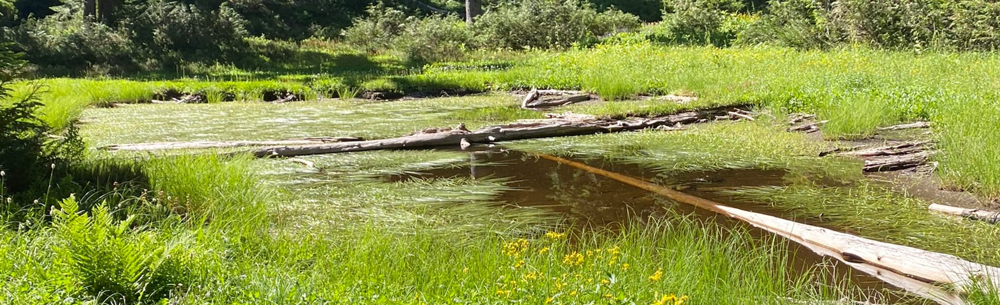 Peek-A-Boo Lake Trail: 58 Fotos - Washington | AllTrails