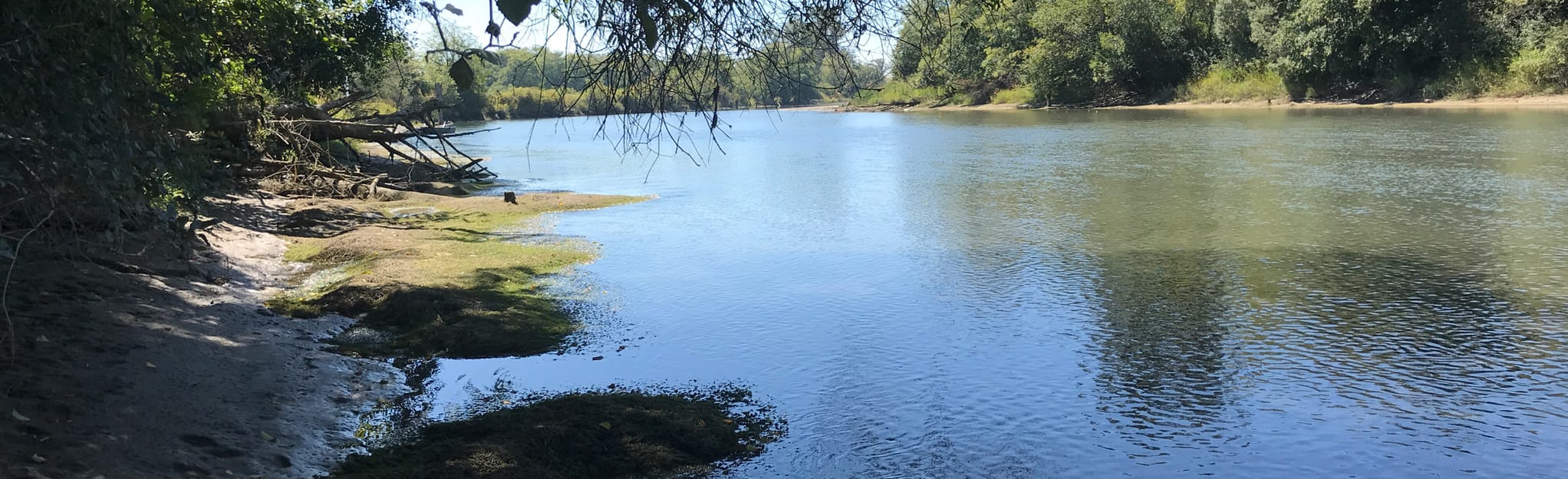 Skagit River Delta Paddle Trip, Washington - 11 Reviews, Map | AllTrails