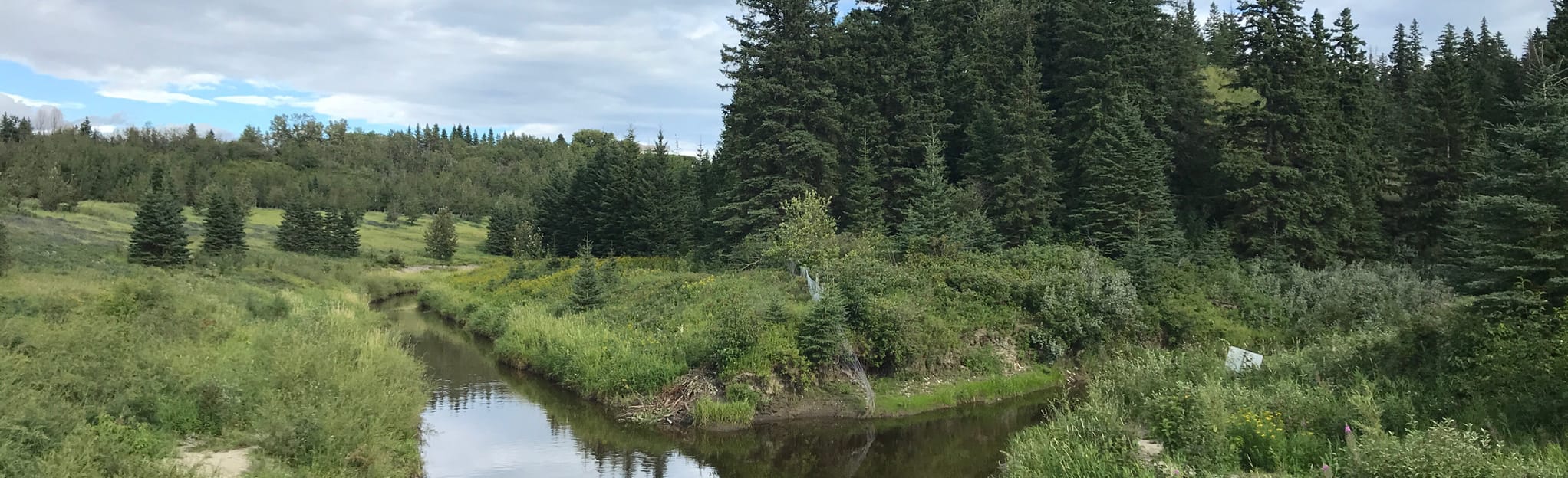 Whitemud Creek Ravine, Alberta, Canada - 92 Reviews, Map | AllTrails