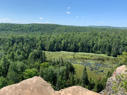 Best Forest Trails in Manitou Mountain Conservation Reserve | AllTrails