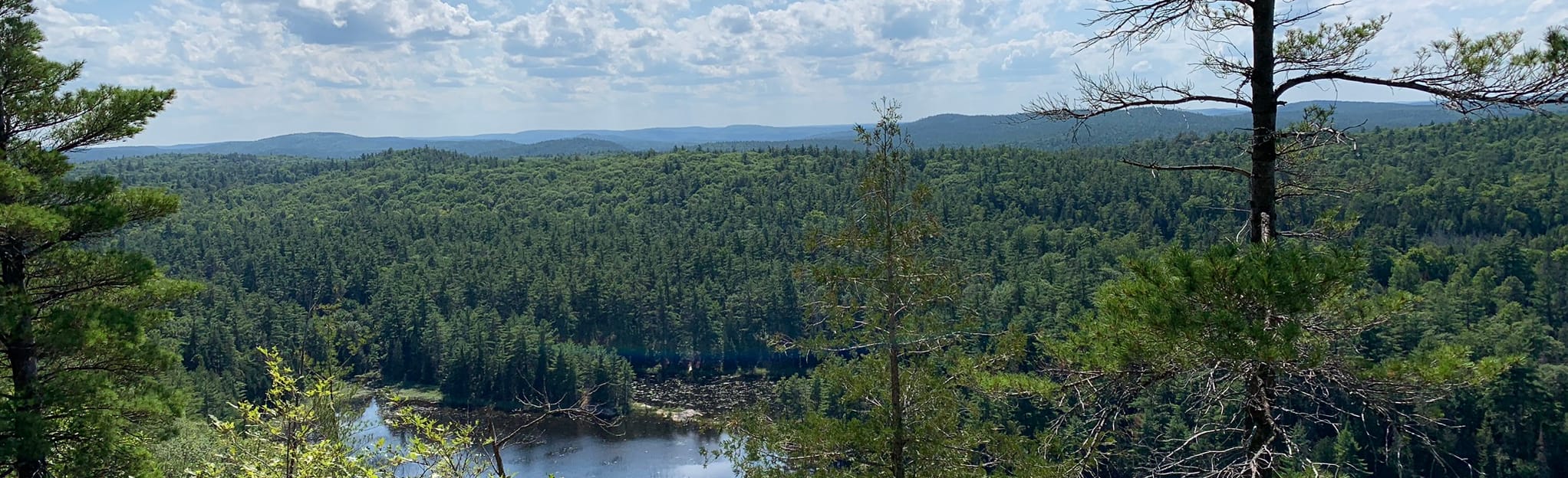 Manitou Mountain Trail: 353 foto - Ontario, Canada | AllTrails