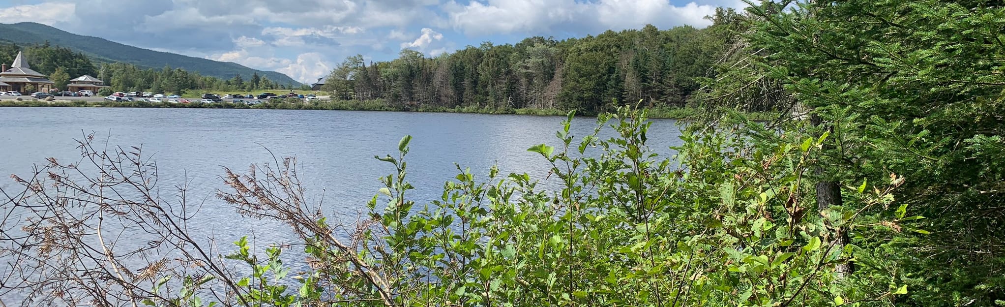 Saco Lake Trail: 74 fotos - Nuevo Hampshire | AllTrails