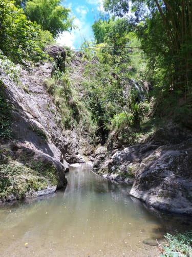 Best 10 Trails and Hikes in Trinidad and Tobago | AllTrails
