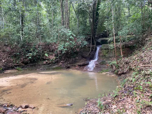 10 Best Waterfall Trails in Brunei | AllTrails